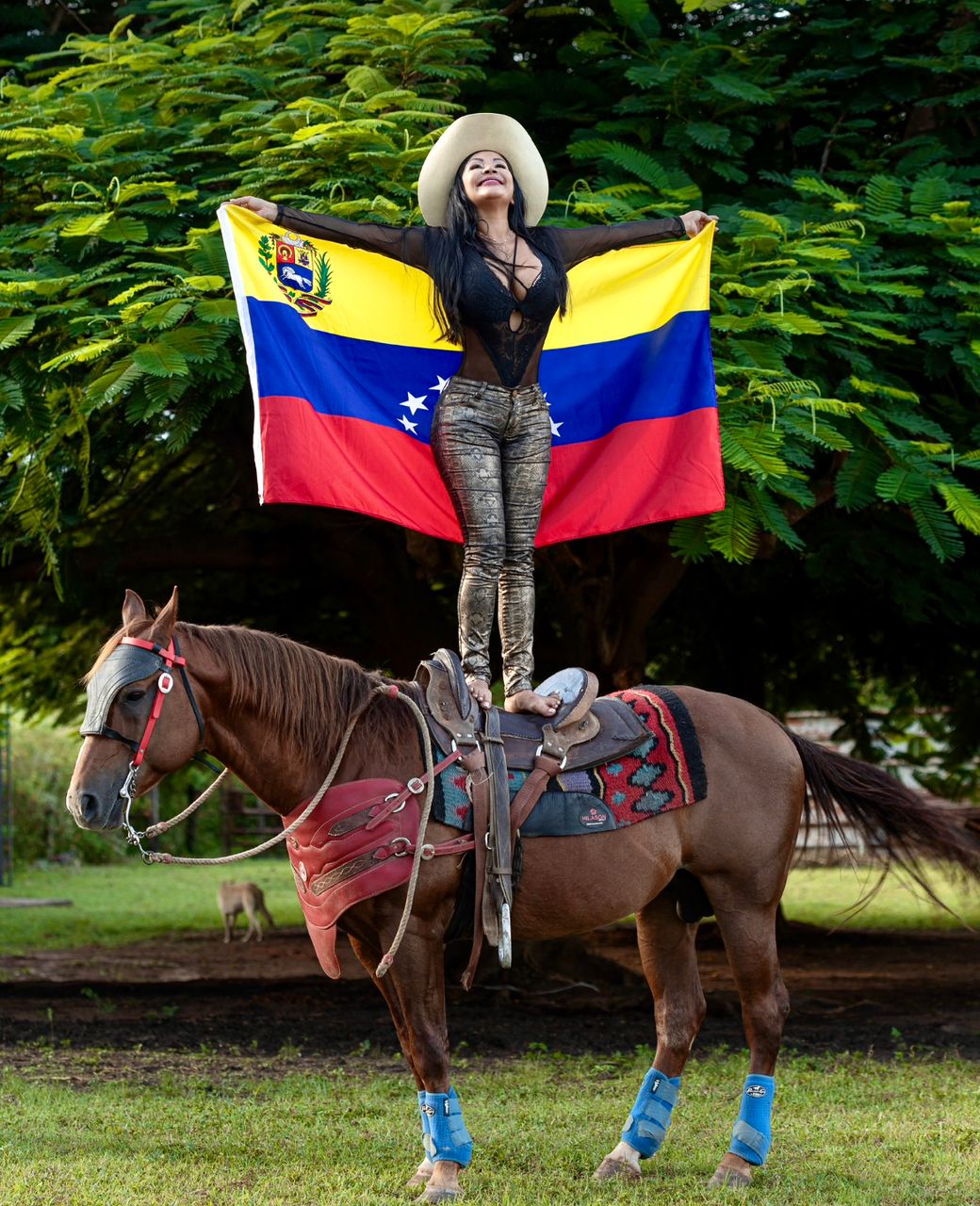 Aquí Tranquila Te Espero - María José Rocca - Música Venezolana